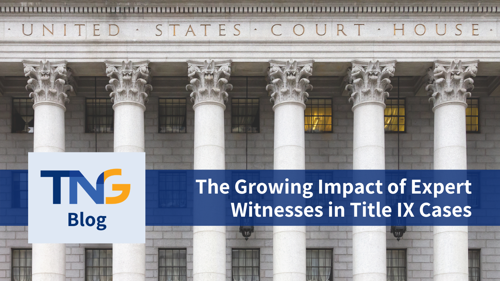 The Growing Impact of Expert Witnesses in Title IX Cases - TNG